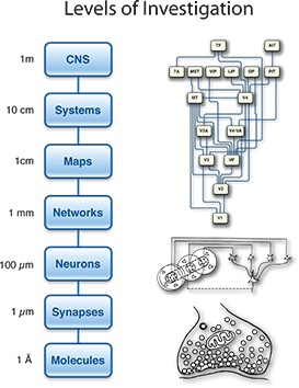 CNL : The Computational Neurobiology Laboratory